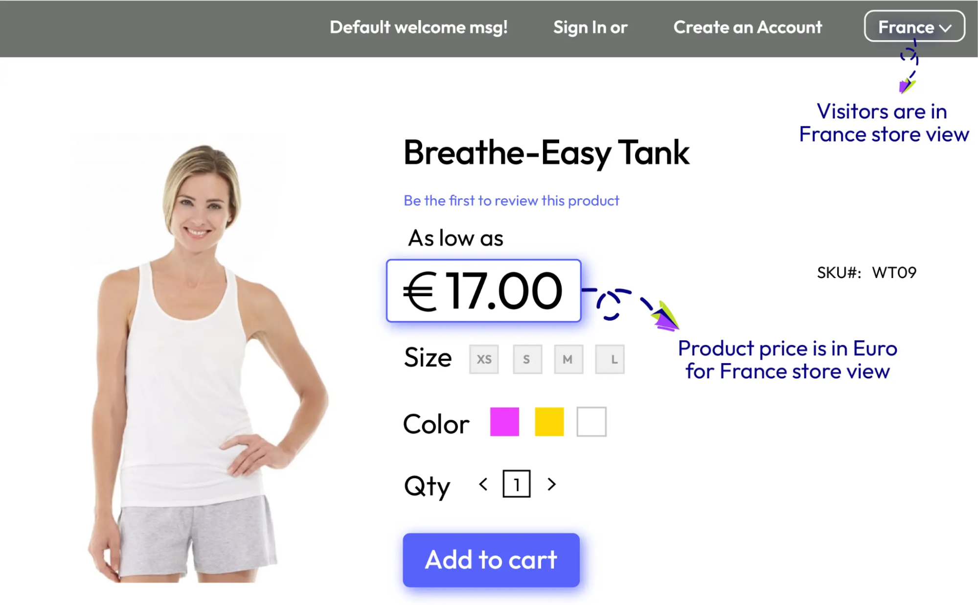 8 best Magento 2 currency switcher extensions of 2025 only from $59